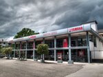 Santori Moto (Marche, Ascoli Piceno, Grottammare, Strada Provinciale Valtesino), motosiklet satışı  Marche'den