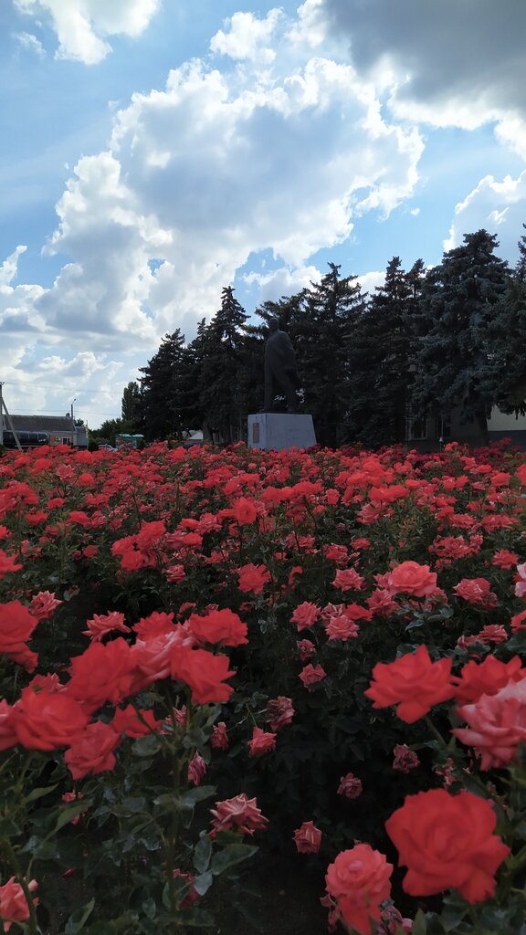 Anıt, heykel В.И. Ленин, Krasnodarski krayı, foto