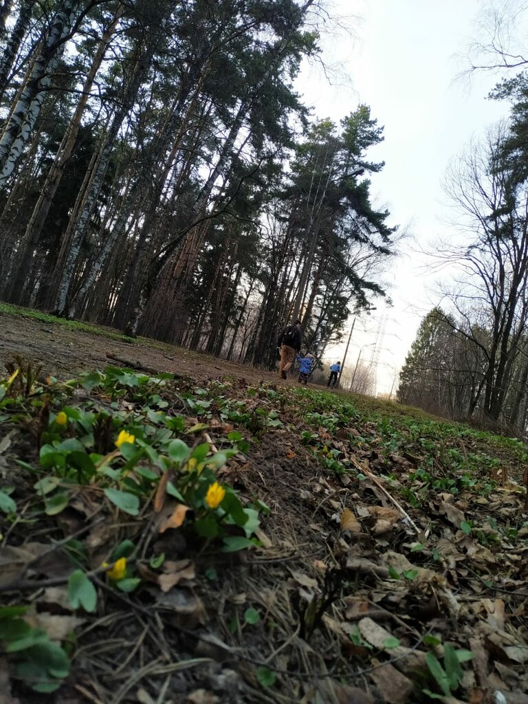 Kültür ve eğlence parkları Vilar Botanical Garden, Moskova, foto