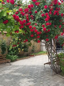 Vinogradnaya Loza (Татарская улица No:36), otel  Yevpatorya'dan