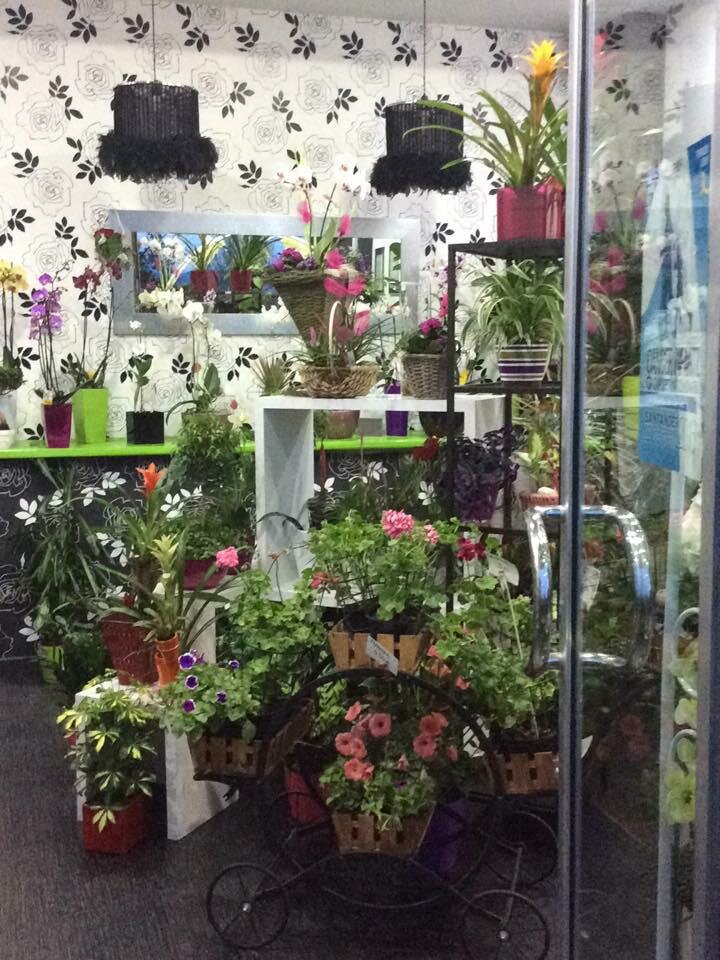 Çiçek teslimatı Floristería Paula, Santander, foto