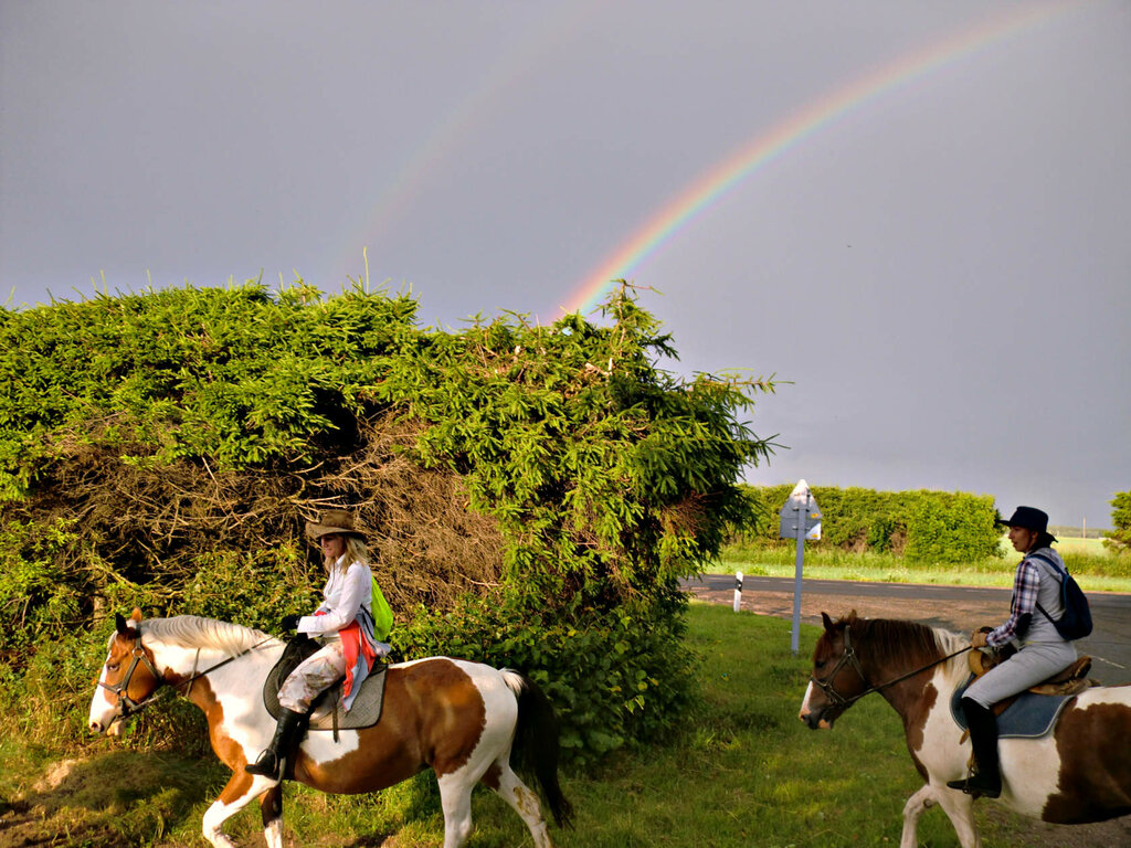 At ve binicilik kulüpleri Мустанг, Shchuchyn, foto