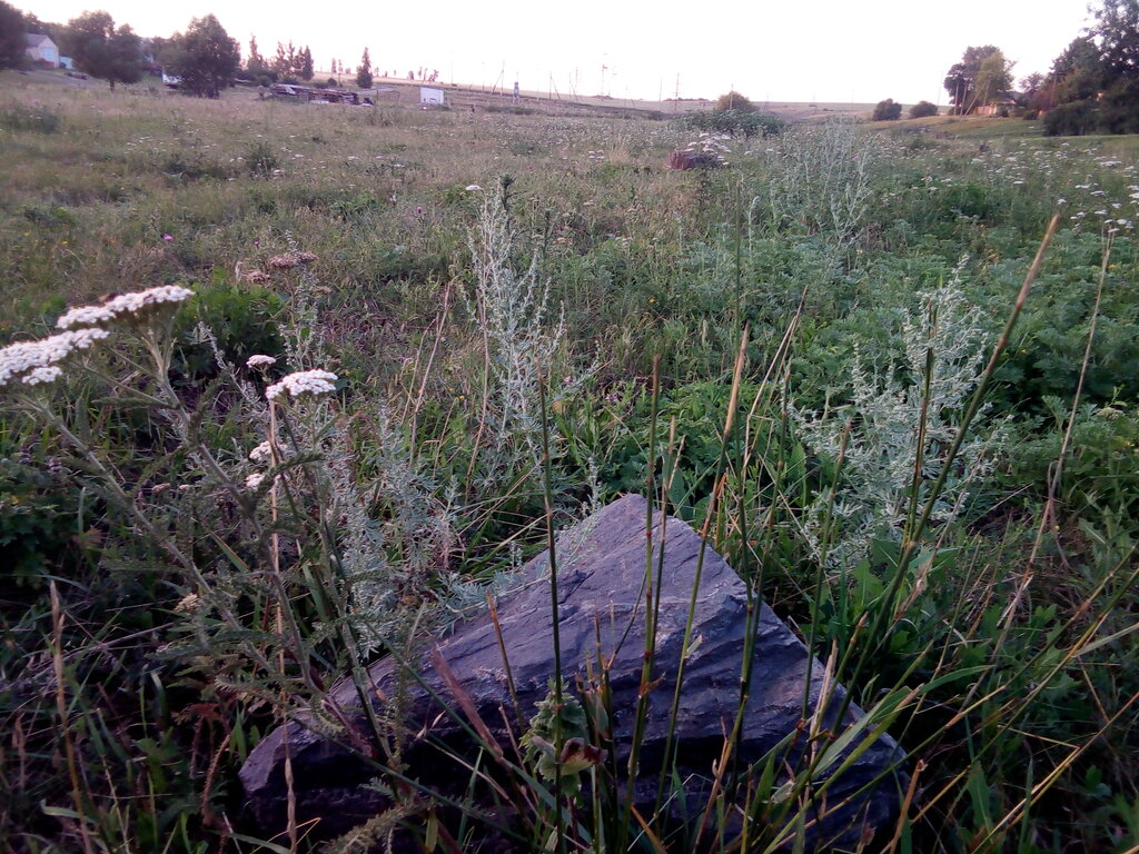 Hayvancılık Песчанский лог, Belgorodskaya oblastı, foto