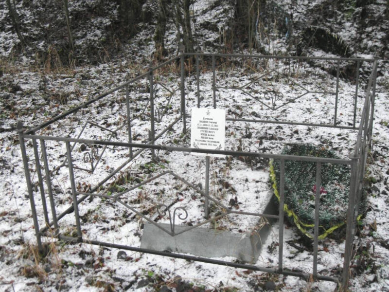 Anıt, heykel Братское захоронение партизан, Smolenskaya oblastı, foto