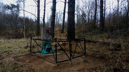 Anıt, heykel Памятник неизвестному солдату, Vologodskaya oblastı, foto