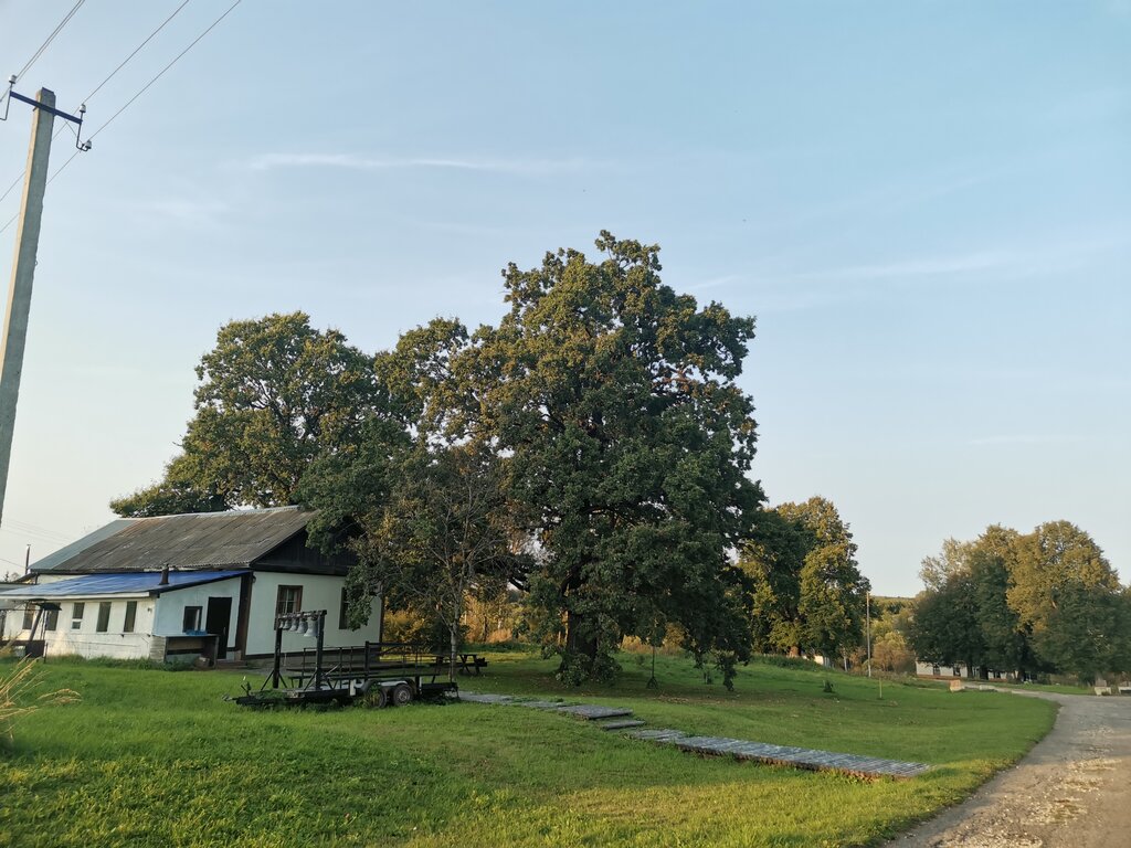 Doğa Группа дубов Три богатыря, Kalujskaya oblastı, foto