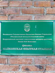 Всесоюзный институт растениеводства, Станция ВИР (Republic of Adygea, Maykopsky District, Timiryazevskoye selskoye poseleniye, posyolok Podgorny), üniversiteler  Adıge Cumhuriyeti'nden