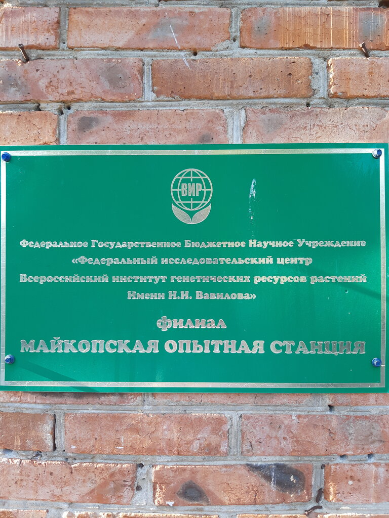 Üniversiteler Всесоюзный институт растениеводства, Станция ВИР, Adıge Cumhuriyeti, foto