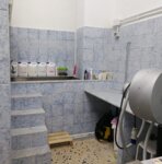 Toelettatura Puliti & Morbidosi (Sicily, Palermo, Via Vincenzo Madonia), petshop  Palermo'dan