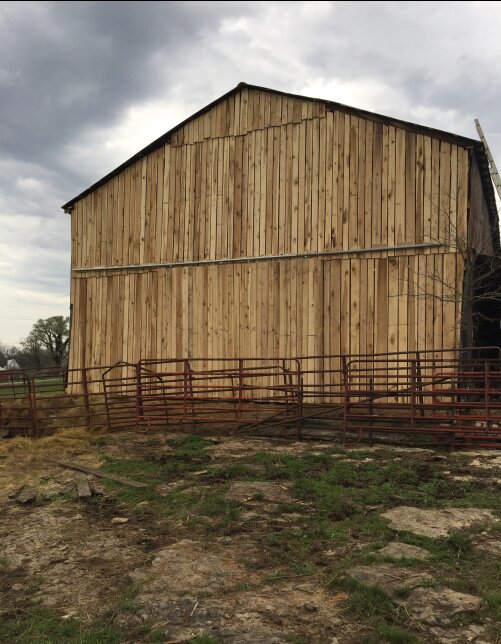 Hamam ve sauna inşaatı Collins Construction, Kentucky, foto