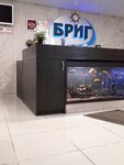 Бриг (Selektsionnaya ulitsa No:24А, posyolok gorodskogo tipa Ust-Kinelskiy), otomobil servisi  Samarskaya oblastından