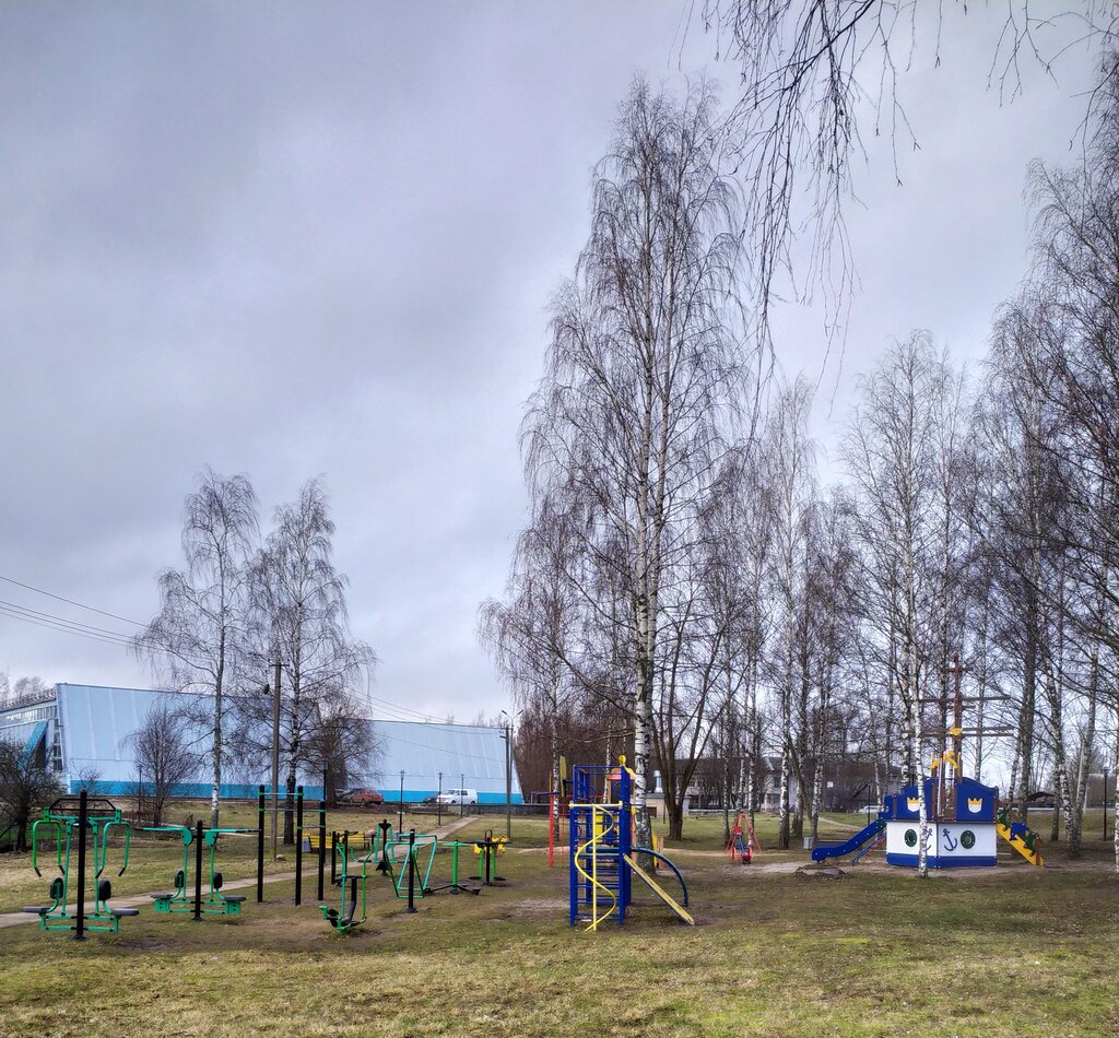 Oyun alanı Playground, Pskovskaya oblastı, foto