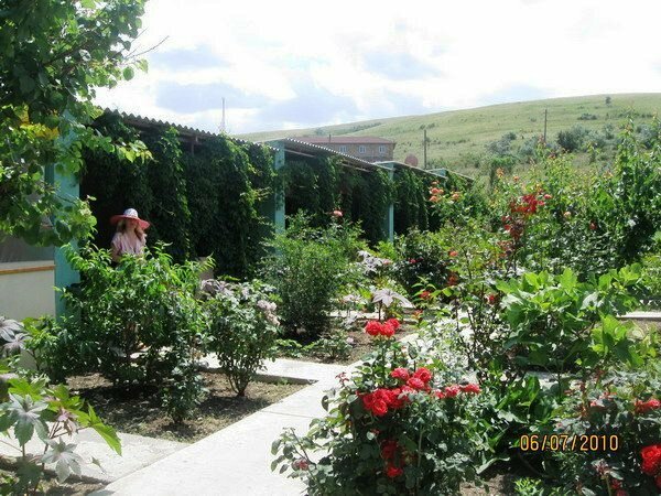 Otel Private boarding house Uyut, Kırım Cumhuriyeti, foto
