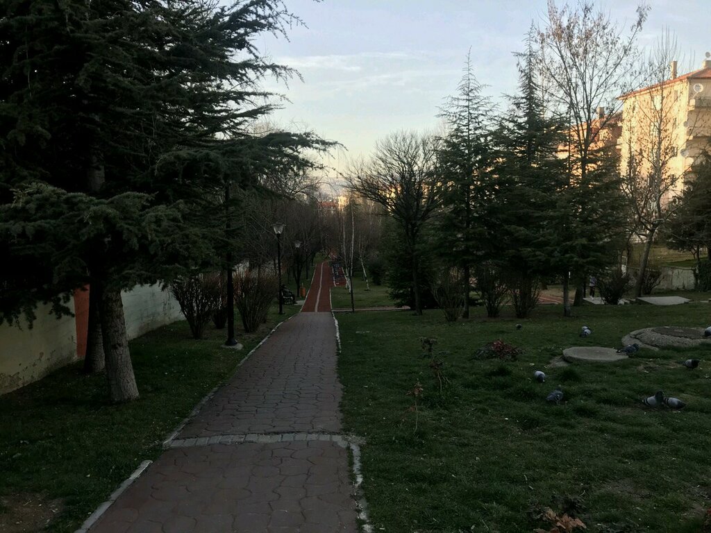 Parklar ve ormanlar Metin Altıok Parkı, Ankara, foto