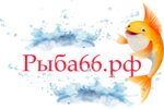 Рыба66 (Anatoliya Mekhrentseva Street No:32), balık ve deniz ürünleri  Yekaterinburg'dan