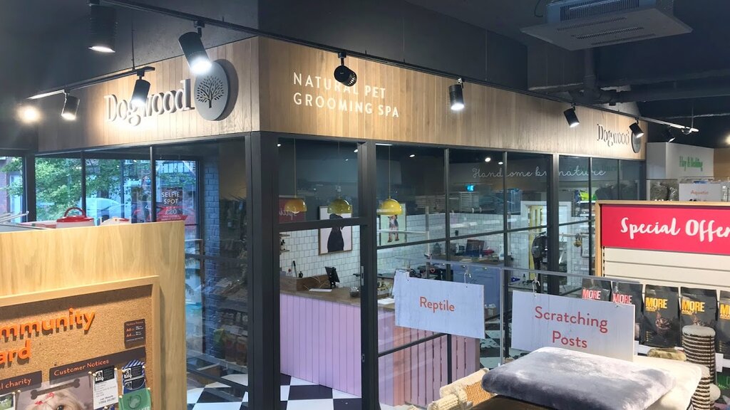 Evcil hayvan kuaförleri Dogwood Grooming, İngiltere, foto