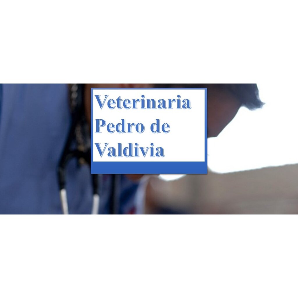 Veteriner klinikleri Veterinaria Pedro de Valdivia, Temuco, foto