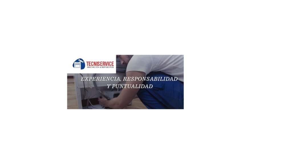Elektronik cihaz ve parça firmaları Tecniservice Innovación & Repuestos S. A. C., Lima, foto