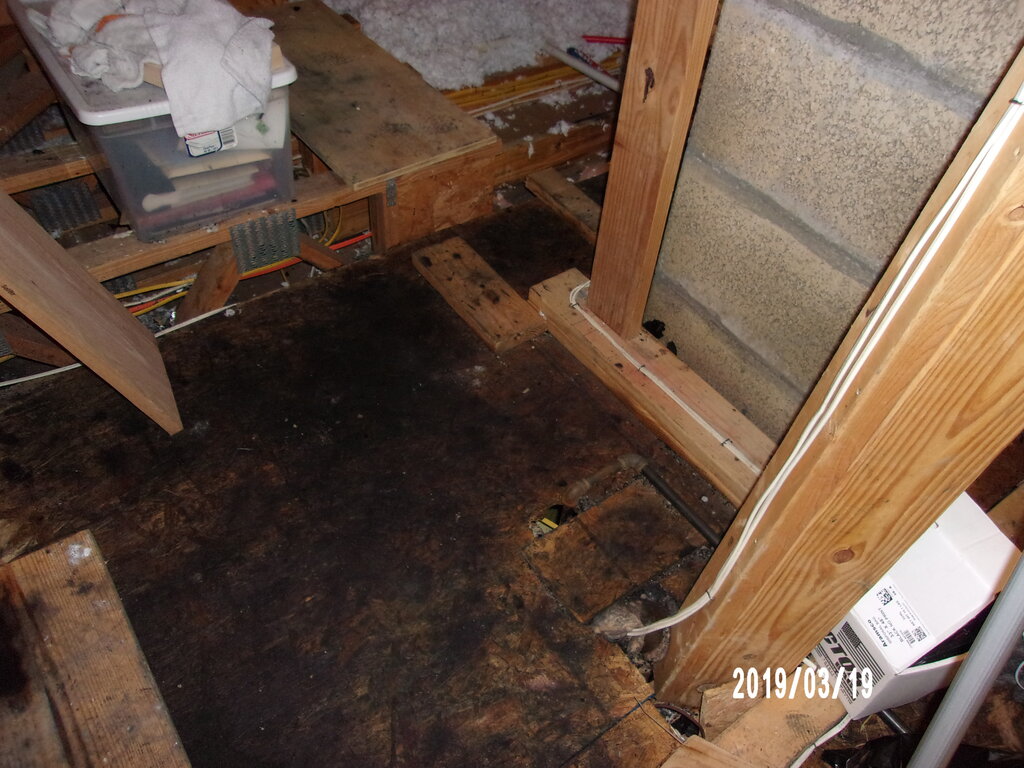 Halı yıkamacılar Servpro of South Baton Rouge, Baton Rouge, foto