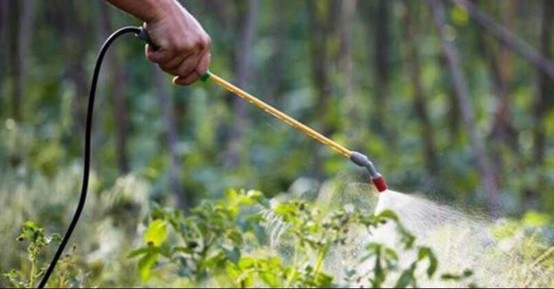 Sanayi ekipmanları firmaları Fumigaciones Abece, , foto