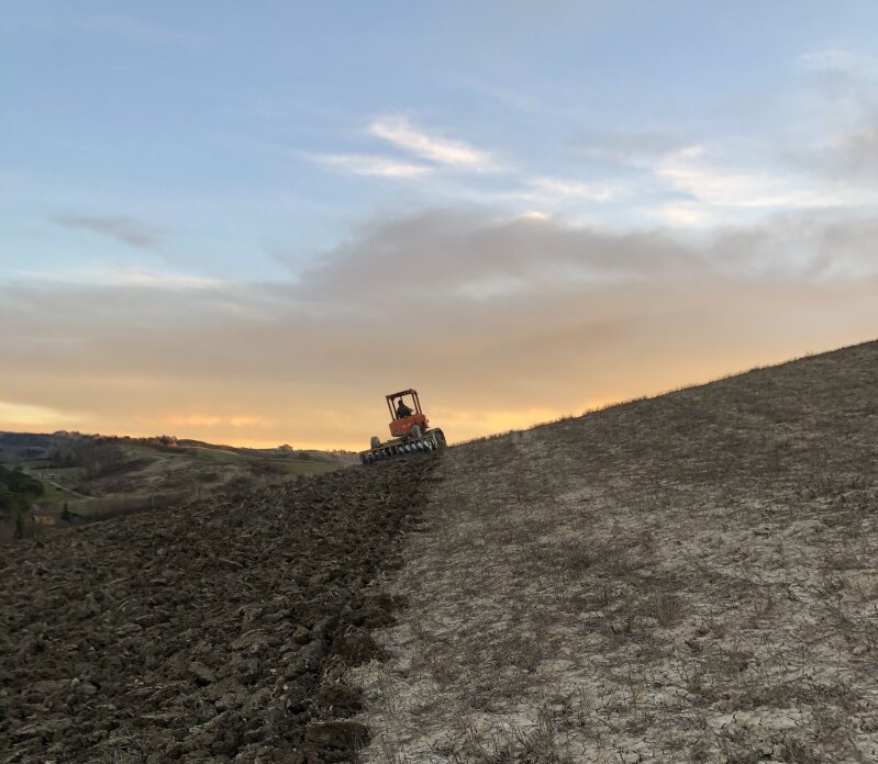 Tarım ürünleri firmaları Azienda Agricola Barbialla Srl Societa’ Agricola - Castello di Barbialla, , foto
