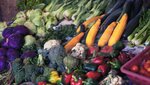 Eden Frutta (Via Ricci No:6, Ravenna), tarım ürünleri firmaları  Ravenna'dan
