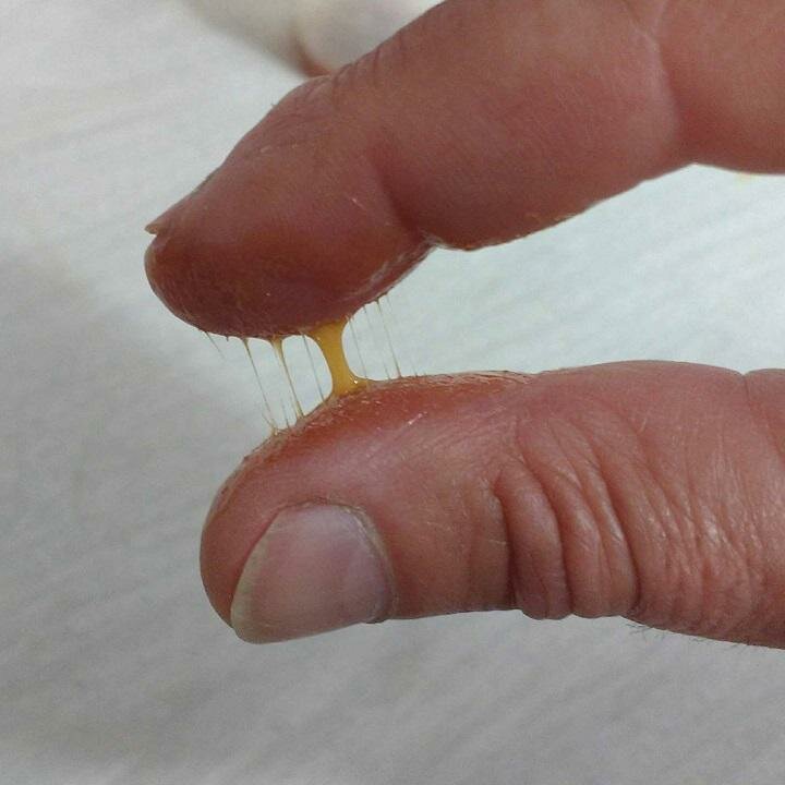 Büyük mağazalar Gabriel Encolantes, , foto