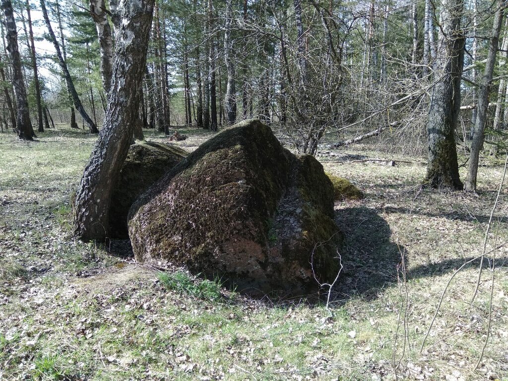 Doğa Камни-кумы, Kalujskaya oblastı, foto