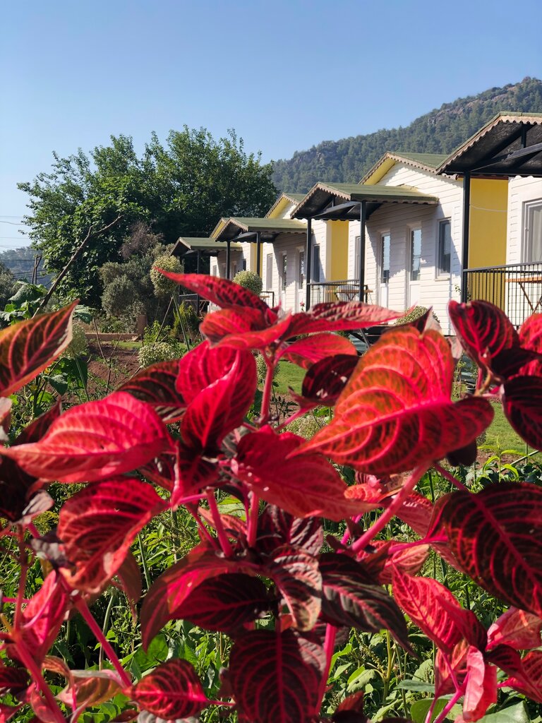 Konaklama işletmeleri Gülsüm Hanım Konakları, Marmaris, foto