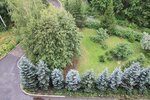 Beryozovaya Roscha (Tsentralnaya ulitsa No:3, Beryozovaya Roscha Village), termal otel  Penzenskaya oblastından