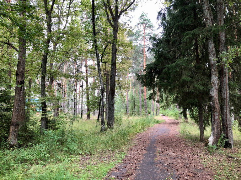 Resort oteller, tesisler Линда, Nijegorodskaya oblastı, foto