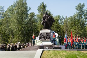 Погибшим при защите Отечества (Novgorod Region, Chudovskiy District, M-11, 562-y kilometr), anıt, heykel  Novgorodskaya oblastından