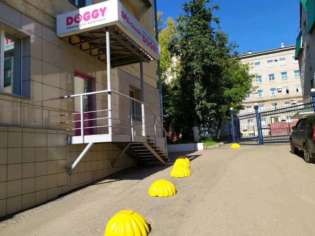 Evcil hayvan kuaförleri Doggy, Kirov, foto