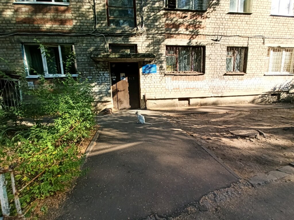 Polis merkezleri Territorial'nye organy Mvd Rossii, Voronej, foto