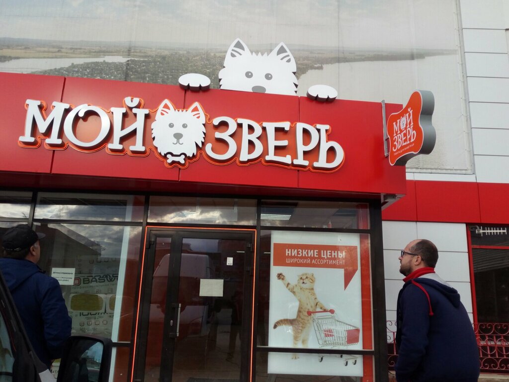 Petshop Moi Zver, Osa, foto