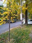 Парковочная зона № 156 (ulitsa Zinina No:4, City of Kazan), otopark alanı  Kazan'dan