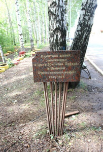 Памятная аллея в честь 30-летия Победы в Великой Отечественной войне (Udmurtian Republic, Izhevsk, Severo-Zapadny zhiloy rayon, 7-y mikrorayon), anıt, heykel  Izhevsk'ten