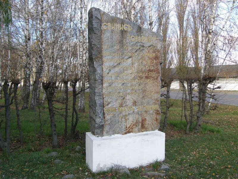 Anıt, heykel Братская могила военнопленных, подпольщиков, партизан и гражданского населения, Chernigov, foto