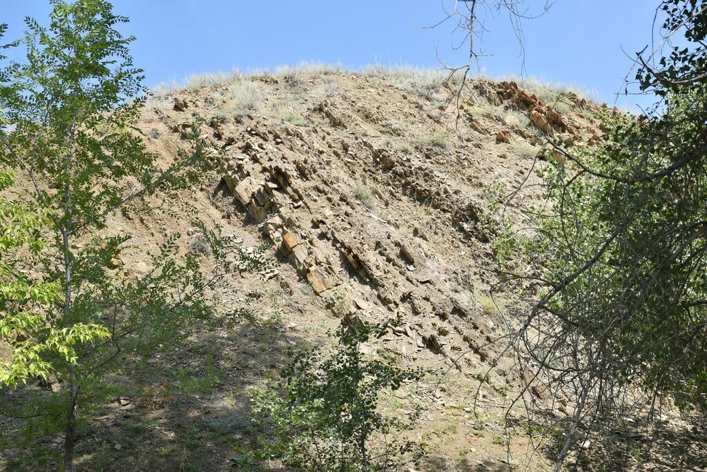 Doğa Разрез Никольский, Orenburgskaya oblastı, foto