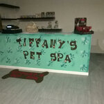Tiffany'S Pet SPA (Apulia, Bari, Corso de Gasperi Alcide), petshop  Bari'den