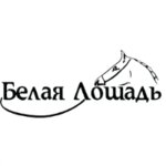 White horse (Predportovaya Street No:10М), petshop  Saint‑Petersburg'dan