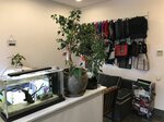 Appleprostore.ru (Bagrationovsky Drive No:7к20В), cep telefonu aksesuarları  Moskova'dan