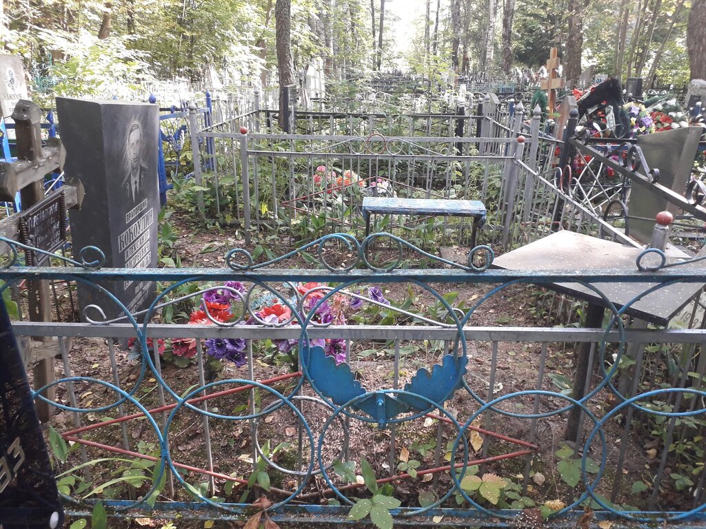 Ünlü kişilerin mezarları А.А. Кокоулин, Viazniki, foto
