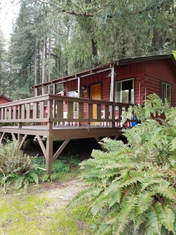 Otel Fern River Resort, Kaliforniya Eyaleti, foto
