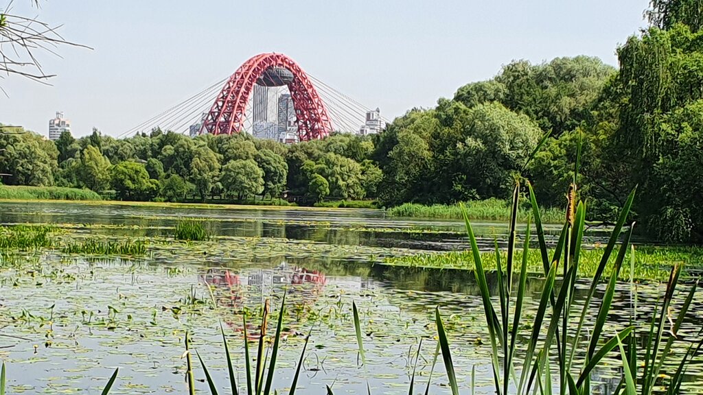 Seyir terası Смотровая площадка, Moskova, foto