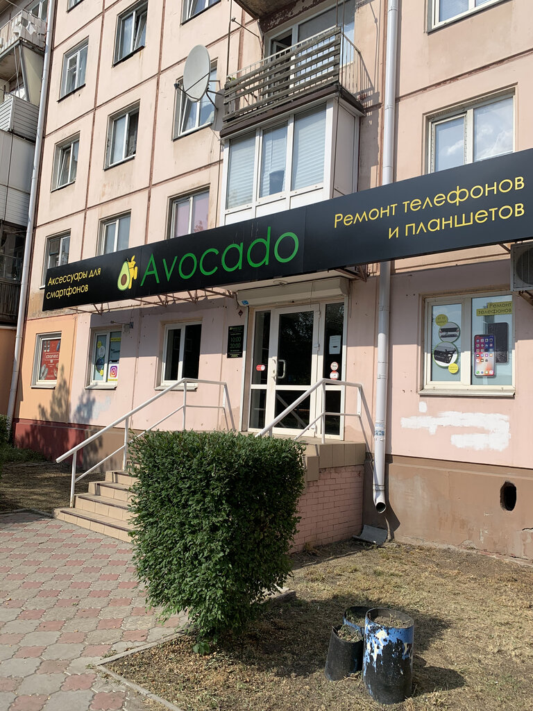 Cep telefonu aksesuarları Avocado, Omsk, foto