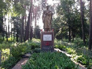 Братская могила (Kyivska Region, Buchanskiy District, Irpin), anıt, heykel  Irpen'den