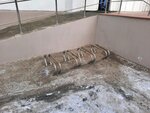 Bicycle parking (ulitsa Nikitina No:64), bisiklet park yerleri  Volgograd'dan
