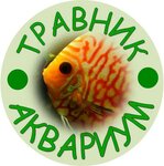 Travnik (Lunacharskogo Street No:21), akvaryumlar  Yekaterinburg'dan
