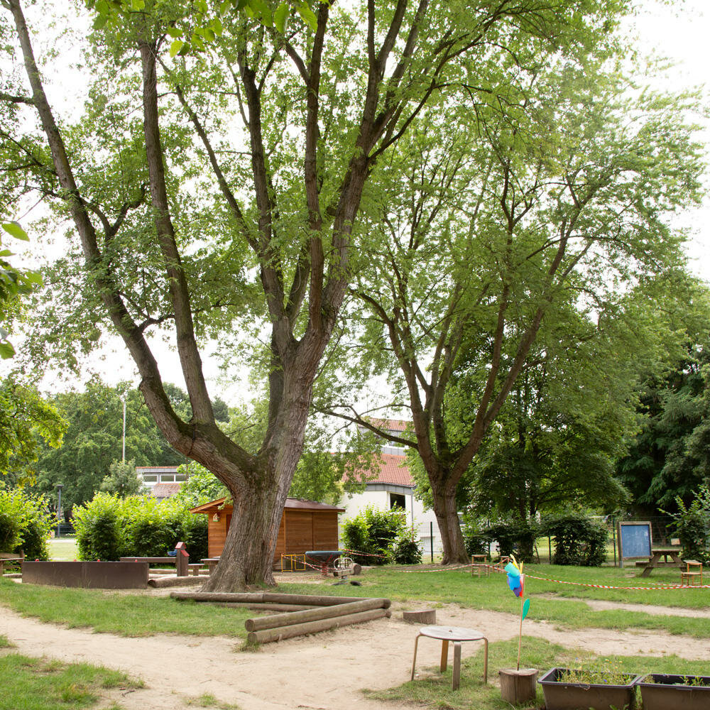 Anaokulları Ev. KiTa Zwergengarten im Jona-Haus - Kindergartenwerk im Ev. Kirchenkreis Unna, Unna, foto